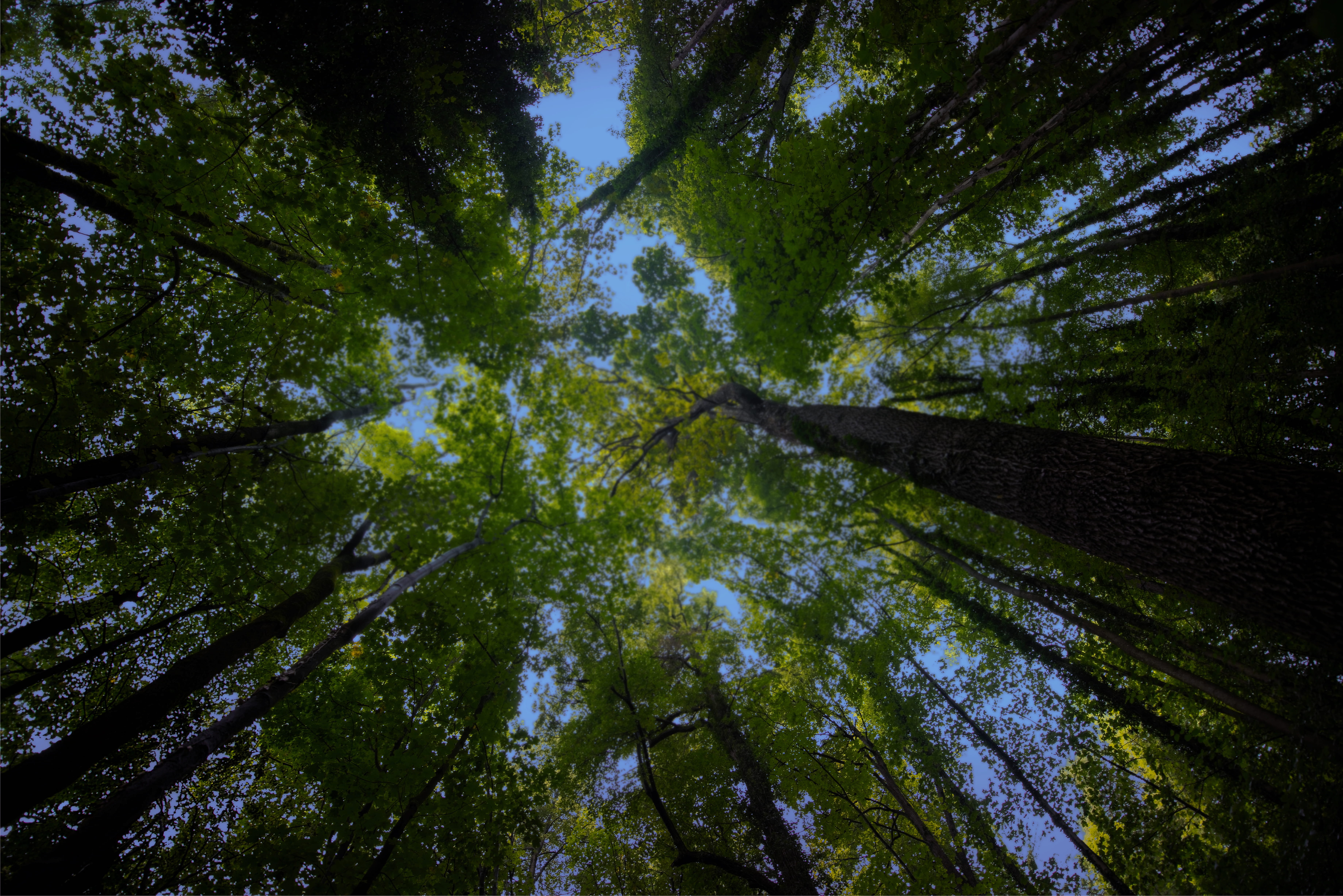 About Us - CDM Smith