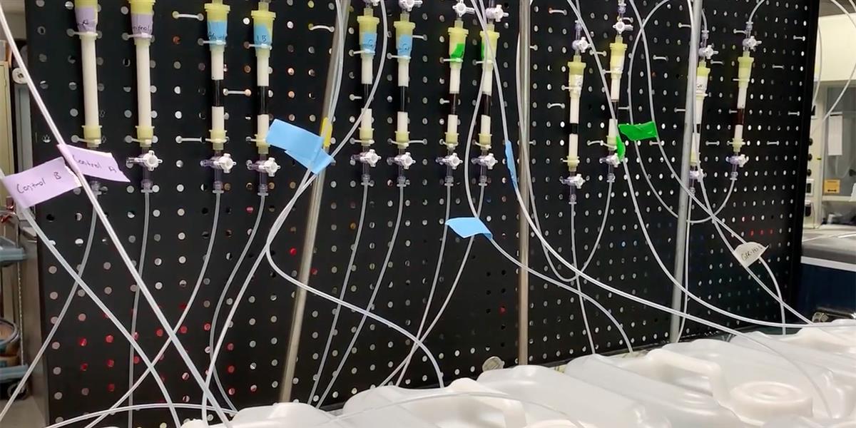 How do you design a PFAS treatability study? - CDM Smith