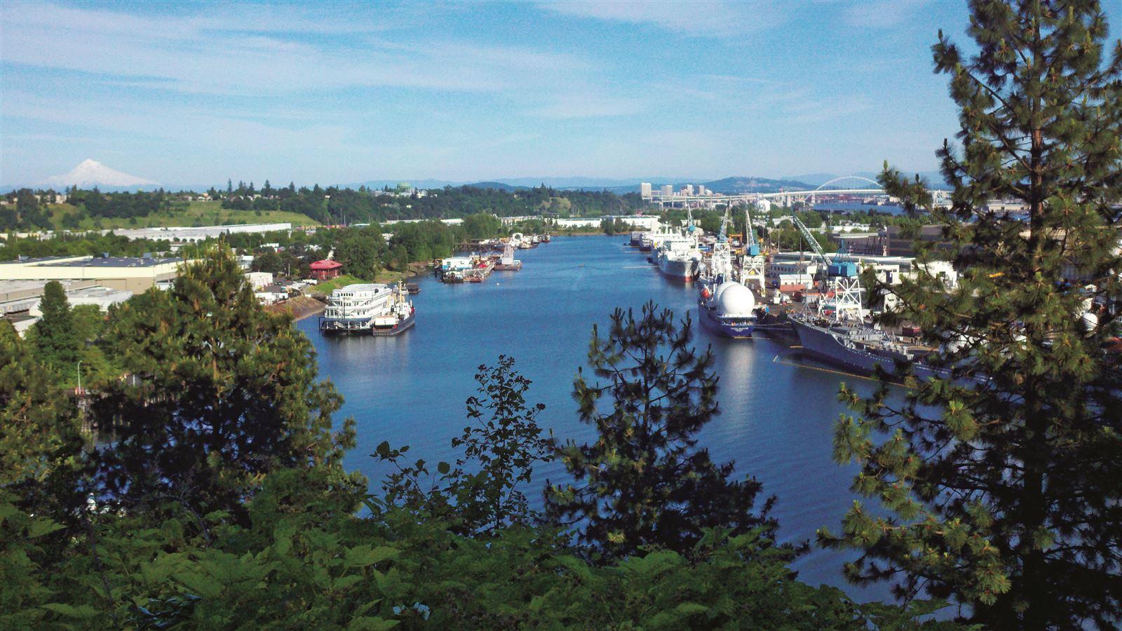 Portland Harbor: Remediation of a Superfund Sediment ‘Mega Site’ - CDM ...